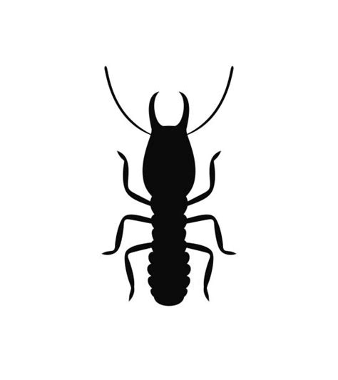 2 700 Termites Stock Illustrations Graphiques Vectoriels Libre De