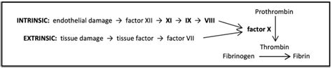 Interpretation Of Coagulation Screen Oscestop Osce Learning
