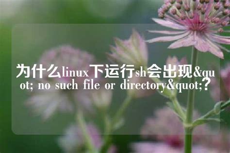 理解与解决linux中的“permission denied”错误 微笑前行