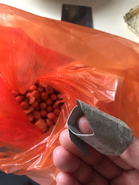 雞頭米酒釀圓子時令甜品 每日頭條