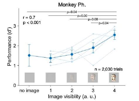 Stimulation Detection Performance Is Modulated By Image Visibility The