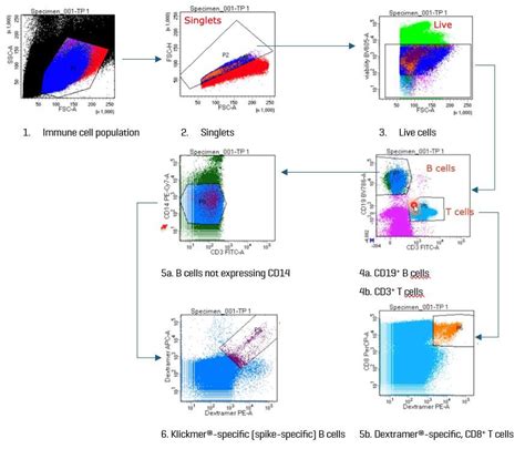 Characterizing Antigen Specific B And T Cells In A Single Sample With Single Cell Multi Omics