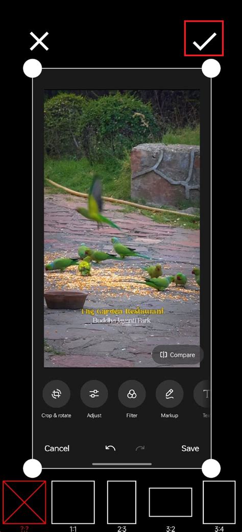 how to resize a photo on android techcult
