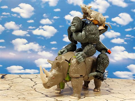 The Maximals Are On Their Way To Rtransformers