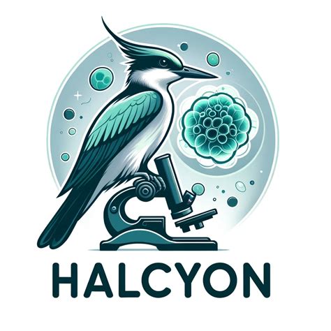 Welcome To Halcyon — Halcyon 1 1 0 Documentation