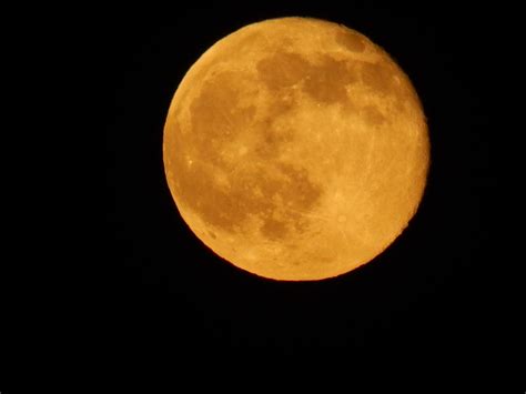 The Honey Moon By Fragillimus335 On Deviantart