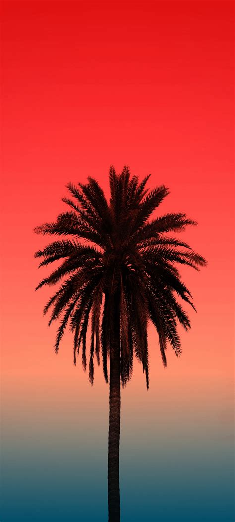 Gradient Tree Rmobilewallpaper