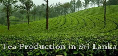 April 2013 ~ අපේ උරුමය Our Inheritance