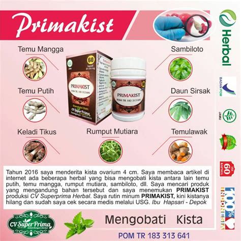 Jual Obat Kista Miom Nyeri Haid Kista Ovarium Bartholin Endometriosis Herbal Yg Paling Ampuh
