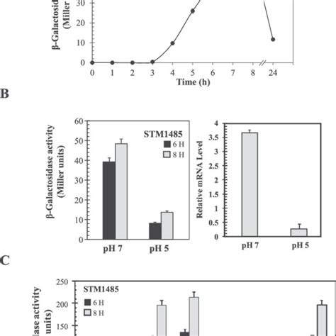 Regulation Of Stm1485 Gene Transcription A B Galactosidase Activity