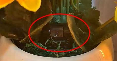 6살 딸까지 찍혔다…화장실 화분에 몰카 심은 꽃집 사장