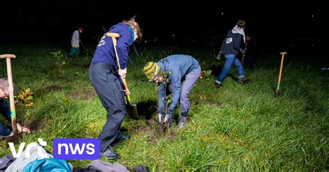 Actievoerders Van Bos Planten Na 11 Jaar Opnieuw Illegaal Bos Op Grond