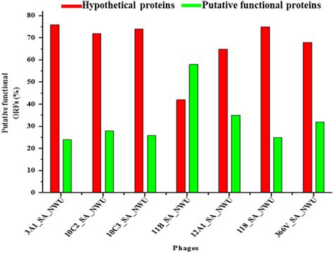 Bar Graph Showing The Percentage Of ORFs Assigned To Putative