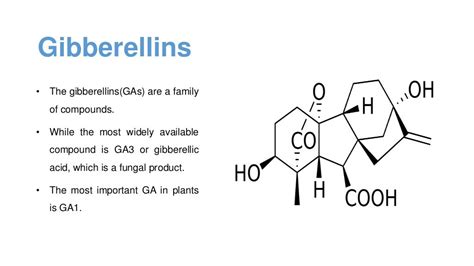 Application Of Plant Growth Regulators Pgrs In Agriculture