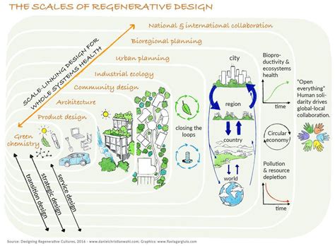 Scales Of Regenerative Design Ecology Design Ecology Design
