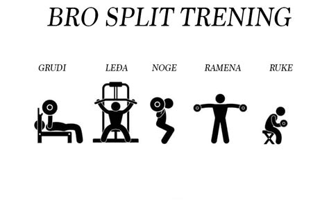 Bro Split Sistem Treniranja R Teretanabalkan