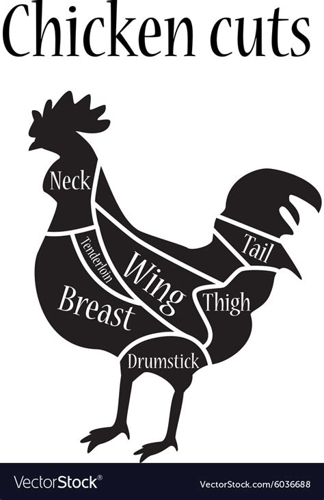 Chicken Cuts Royalty Free Vector Image Vectorstock