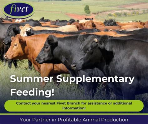 Metabolic Diseases Of Dairy Cows Milk Fever And Acetonaemia Fivet