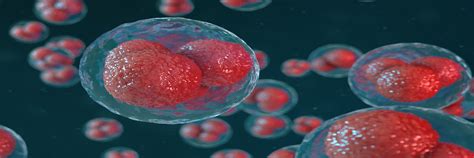 Automation In Routine Pgt A Workflow Revvity Automation In Routine Pgt A Workflow Revvity