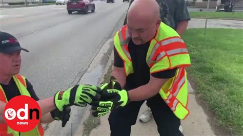Firefighters Rescue Ducklings And Reunite Them With Mum Youtube