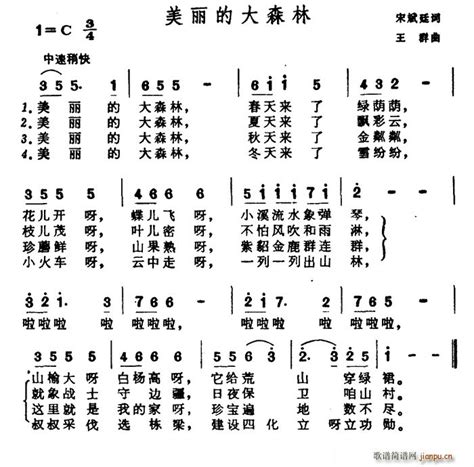 美丽的大森林 歌谱简谱网