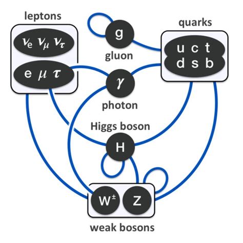 Universal Shape Of The Planck Curve Energy Density Of The Black Body