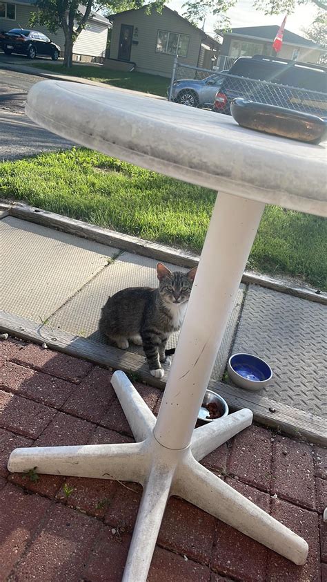 Minmo Came Back Around Today He S Very Very Skittish So I M Assuming