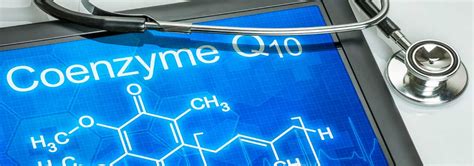 The Role Of Coenzyme Q10 On Fertility