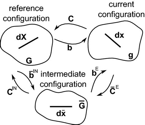 Scheme Of Cauchygreen Strain Tensors In Corresponding Configurations
