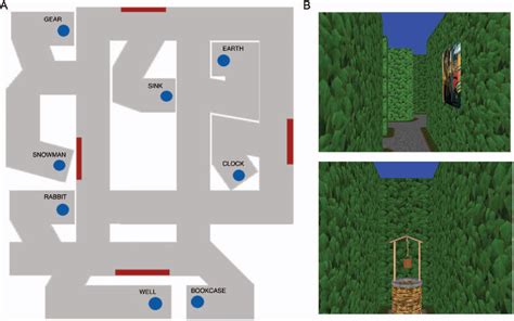 Figure 1 From Active And Passive Spatial Learning In Human Navigation