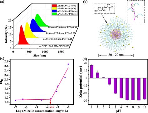 A Hydrodynamic Diameters Of AL G PMAA And AAL G PMAA Micelles B