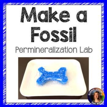 Permineralization Fossil Lab Store Science Lessons That Rock
