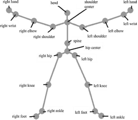 Human Skeleton Joint Point Labeling Diagram Source Download Scientific Diagram