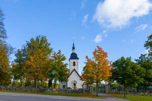 Blog Autumn Forza S Ramblings