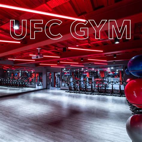 Ufc Gym Where Fitness Meets Martial Arts