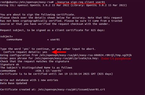 How To Set Up Openvpn With Stunnel On Ubuntu 22 04 20 04 Server