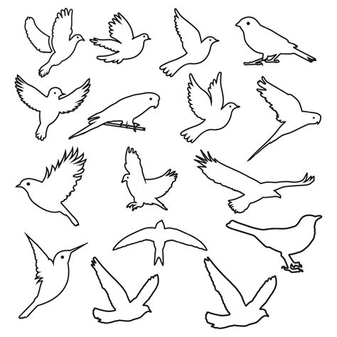 Silhueta De Pássaros Silhuetas De Pássaros Voadores Desenho Vetorial