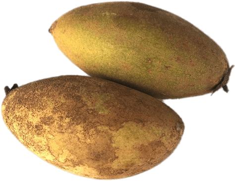 Download Whole Ciku Fruit Mango Clipartkey