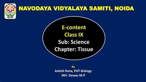 Class 9 Tissue Chapter 6 Ppt