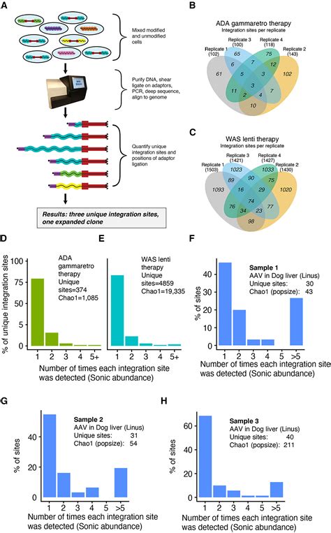 Gene Dna Sequence