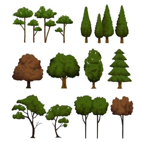 Premium Vector Trees For Landscape And Architect Design