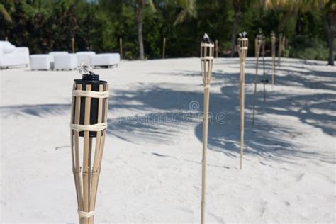 Antorchas De Tiki En La Playa Foto De Archivo Imagen De Verde Verano