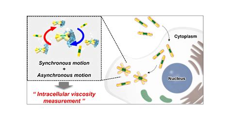 Plasmonicmagnetic Active Nanorheology For Intracellular Viscosity