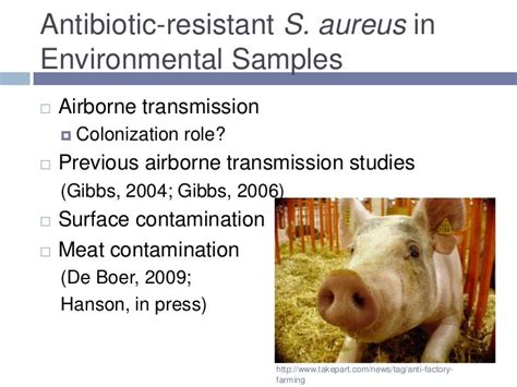 Antibiotic Resistant Staphylococcus Aureus Investigation Of A Poultr…
