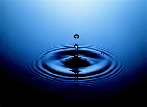 The Search For The Holy Grail Assessment Of Fluid Responsiveness