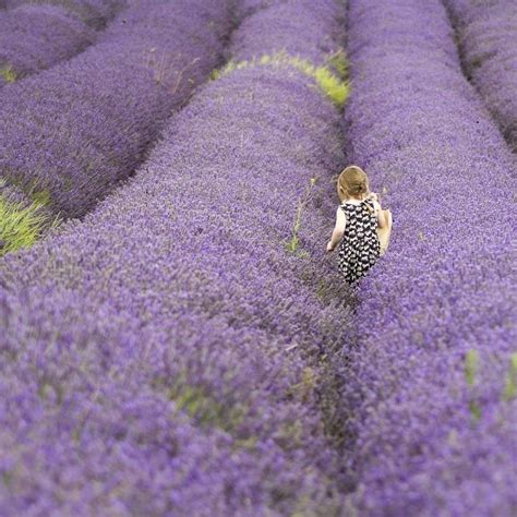 Формула за Здраве и Красота 🍀При Хрема Херпес Акне Гъбички Мазоли Екземи Псориазис