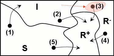 Epidemic Model For Cooperative Intrusion Detection Systems Cids For