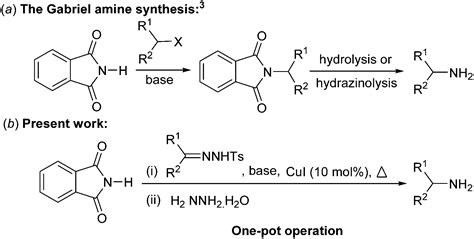 Gabriel Synthesis Phthalimides