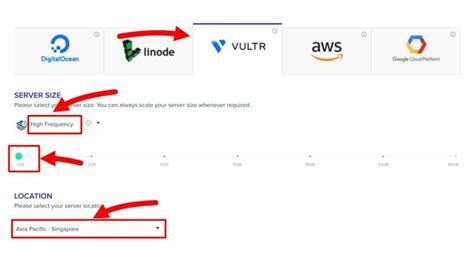 cloudways vultr high frequency instances new blazing fast wordpress