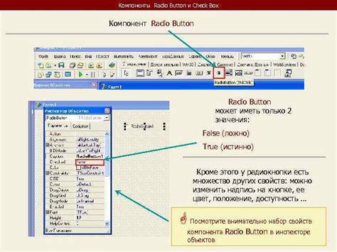 1 Компоненты Delphi Radio Button и Checkbox